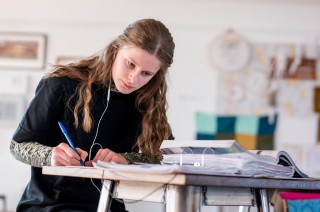 Reepham College - Work Experience